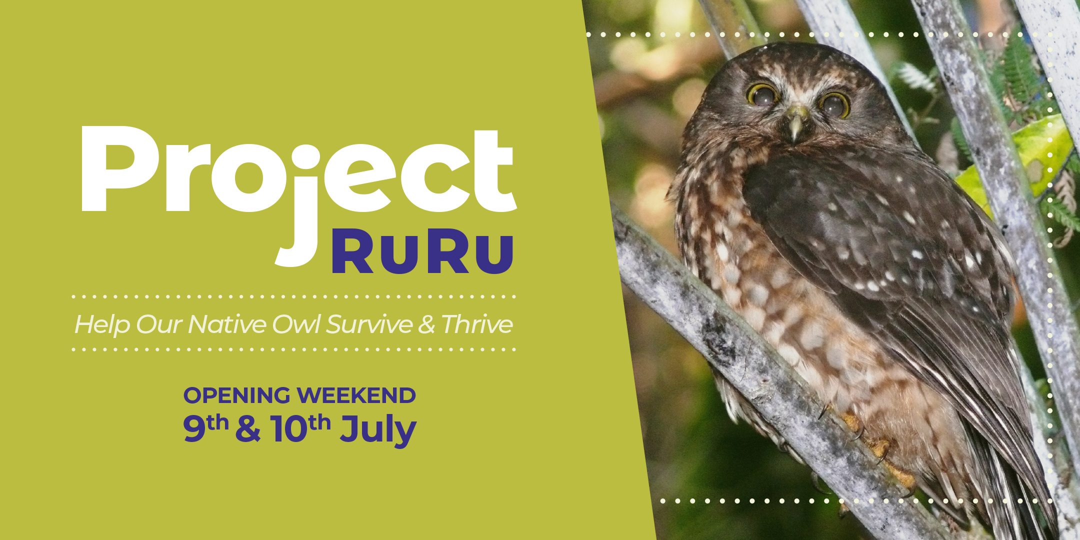 Project Ruru - Try Local